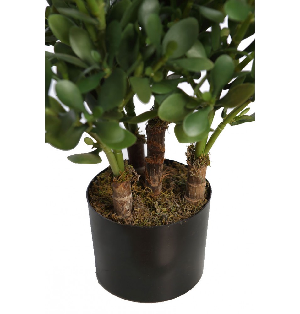 PLANTA CRASA ARTIFICIAL 45 CM